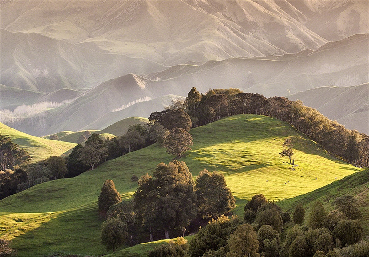 Whanganui District Council unanimously adopts 2020/21 Annual Plan ...