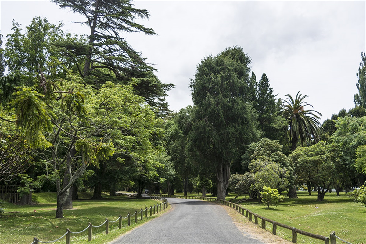 Council parks, reserves, pathways and activities survey underway Whanganui District Council